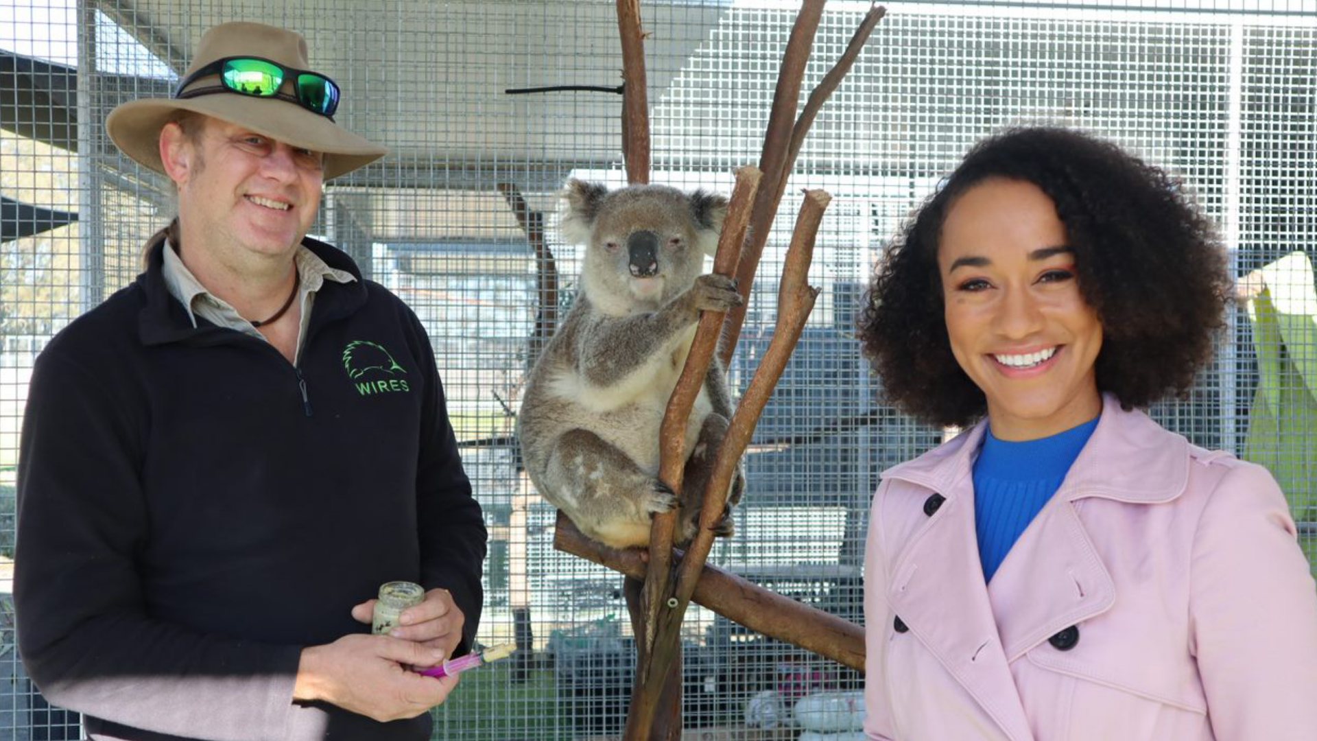 SBS’s Living with Aussie Wildlife series helps new migrants navigate ...