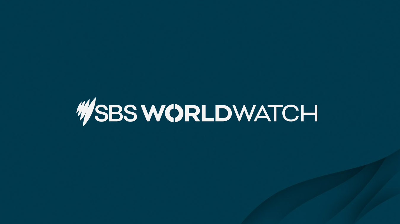 French national news bulletin 20 Heures returns to SBS television - SBS About