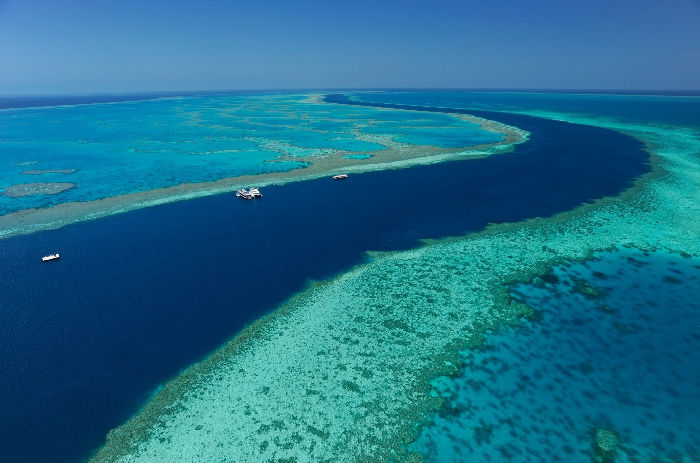 Comment: How will the Great Barrier Reef recover from mass bleaching ...